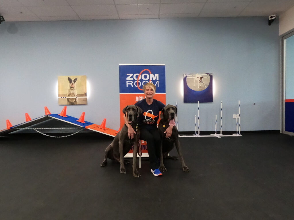 Zoom Room’s Franchisee is a ‘Rare Treasure’ | Zoom Room Dog Training