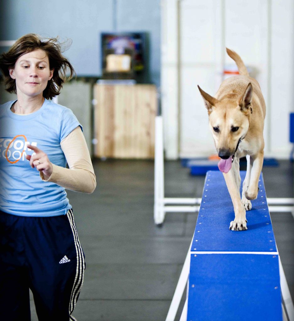 Surprising Ways Your Dog Can Improve Your Workout | Zoom Room Dog Training