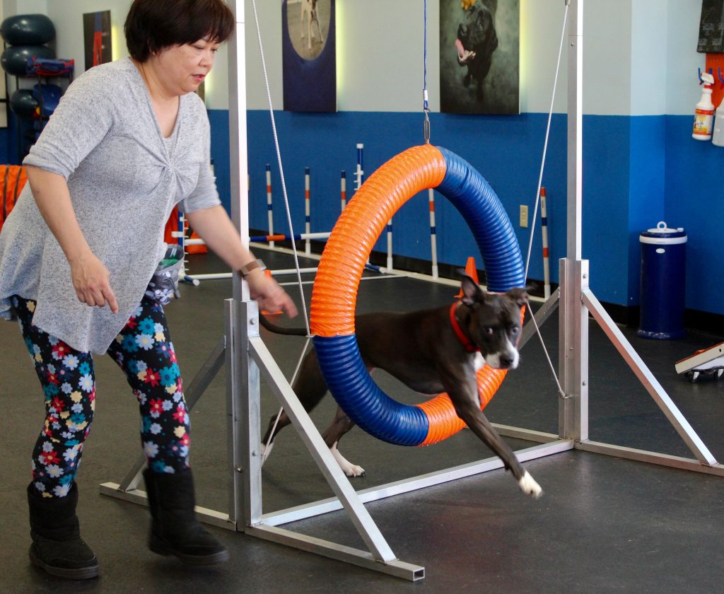 | Apr 10 |J| Apr 10 |u| Apr 10 |n| Apr 10 |e| Apr 10 |a| Apr 10 |u| Apr ...