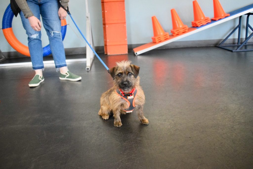 | Nov 27 |M| Nov 27 |u| Nov 27 |r| Nov 27 |k| Nov 27 |y| Nov 27 ...