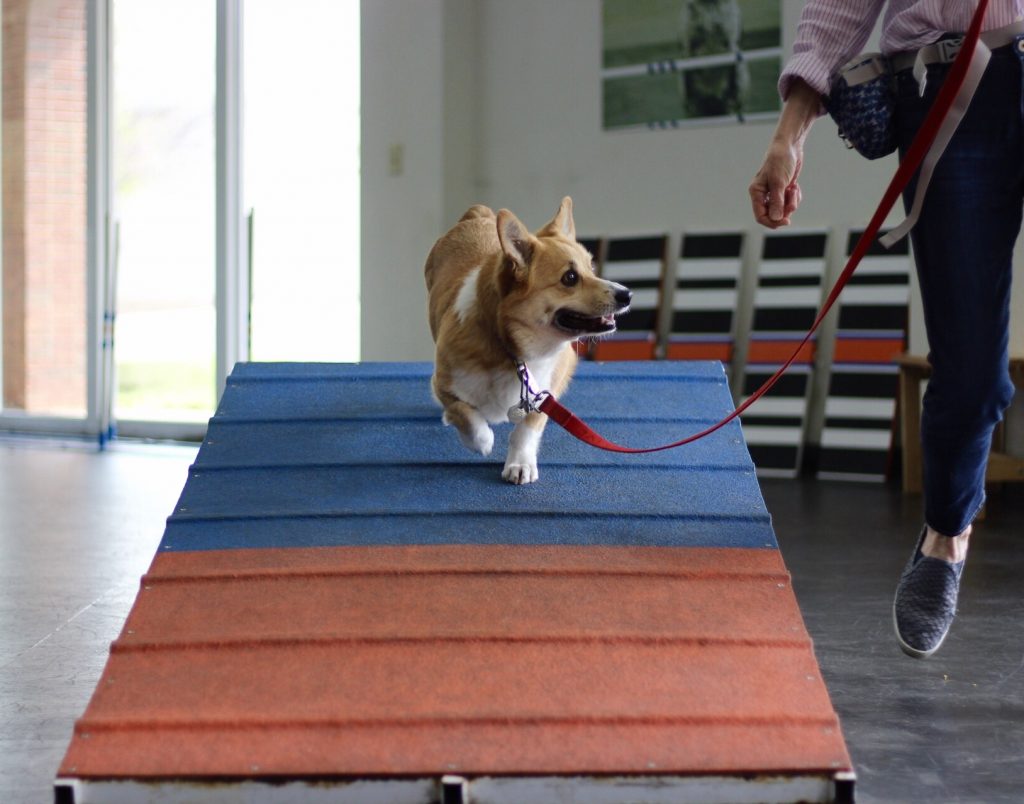 | Mar 17 |C| Mar 17 |l| Mar 17 |i| Mar 17 |v| Mar 17 |e| Mar 17 ...