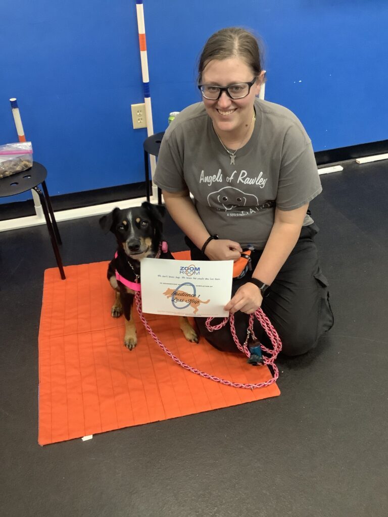 Lexi | Zoom Room Dog Training