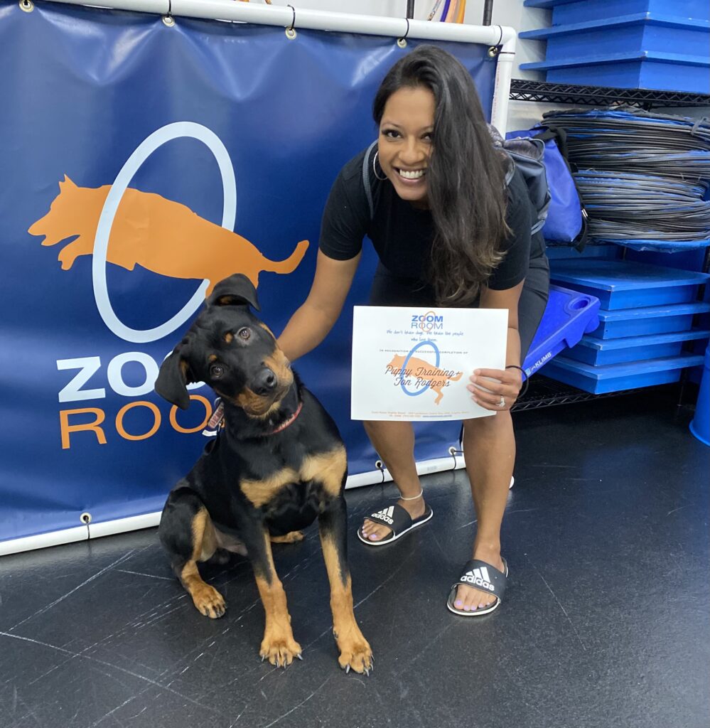 | Jul 14 |T| Jul 14 |o| Jul 14 |n| Jul 14 | | Zoom Room Dog Training